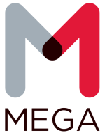 2025 MEGA Group Program - AVB Marketing